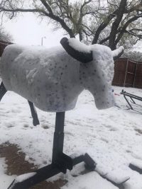 Roping Dummies Texas