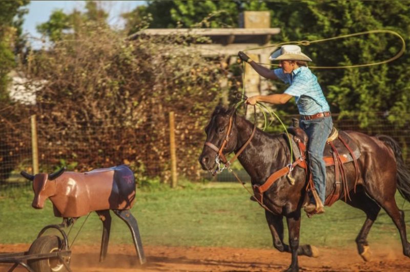 Roping Dummies Texas